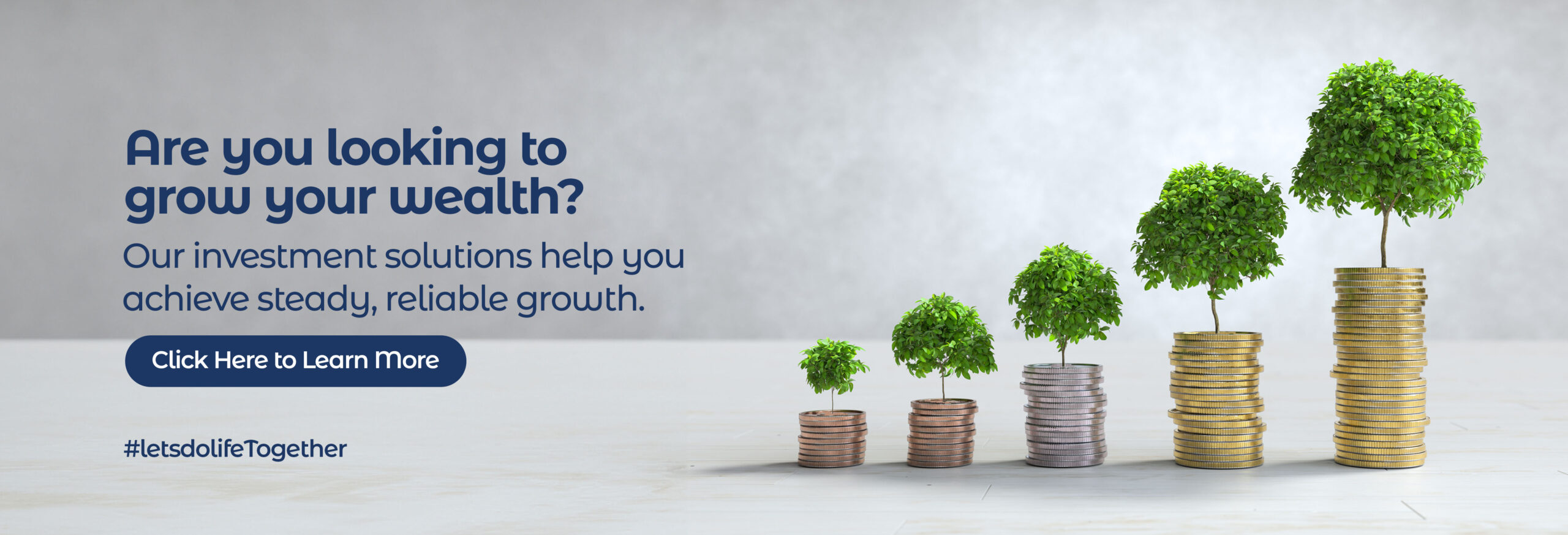 Petra – Achieve More